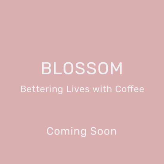 Home - JBC Coffee Roasters